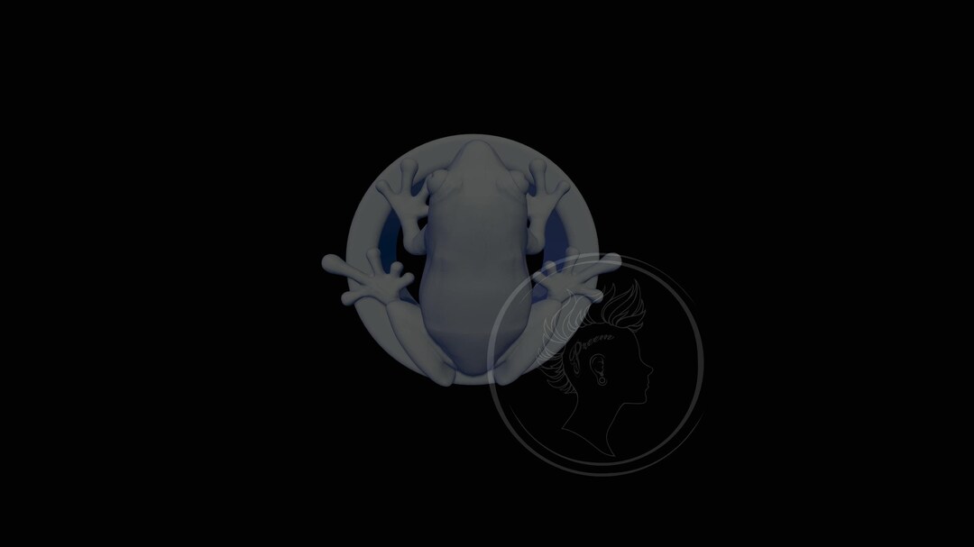 Custom Design Frog Plugs - Double Flare Ear Tunnel Frog Earplugs Frog ...