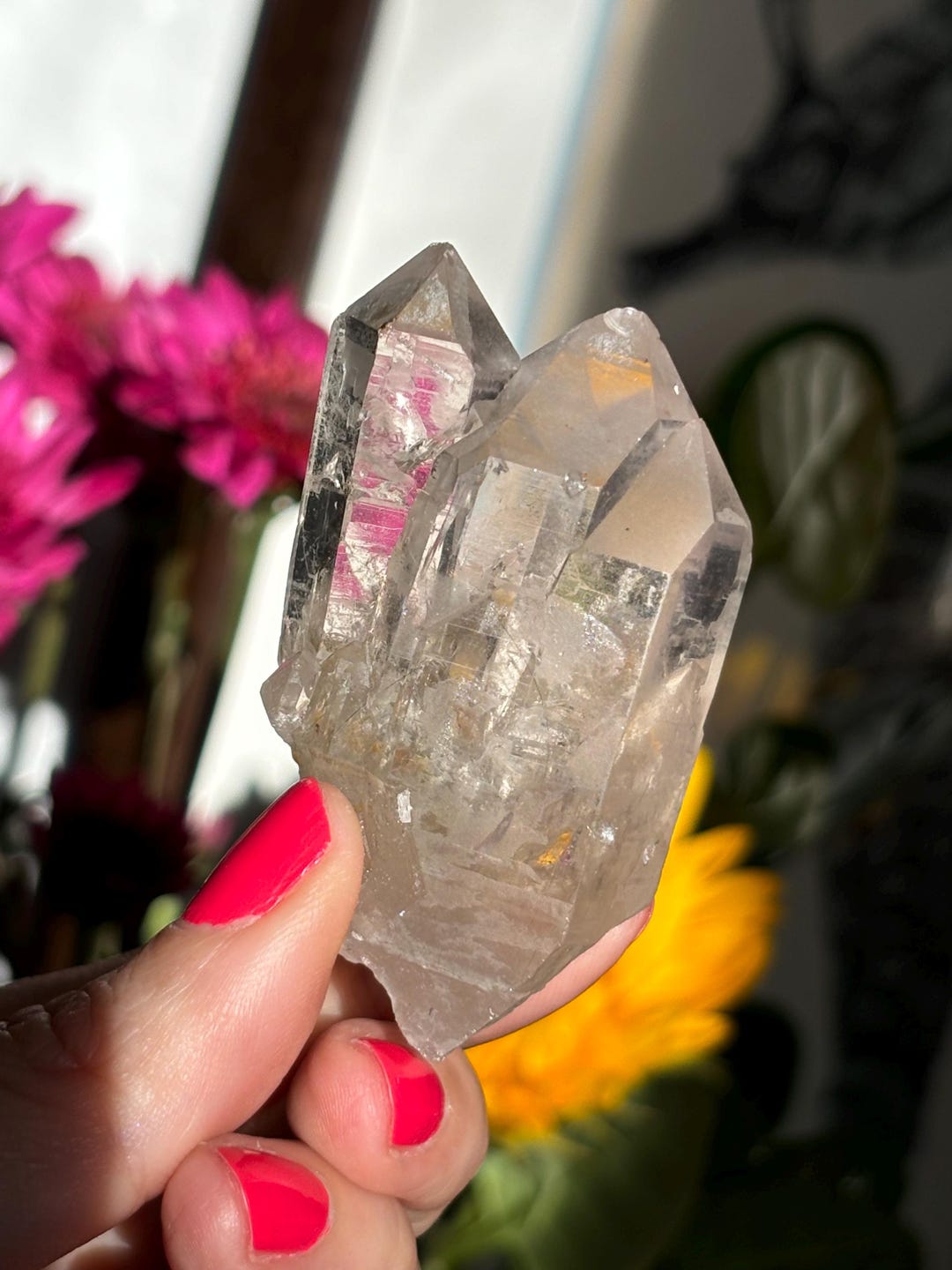 Smoky Quartz Cluster With Hairlike Black Rutile Inclusion - Rock ...