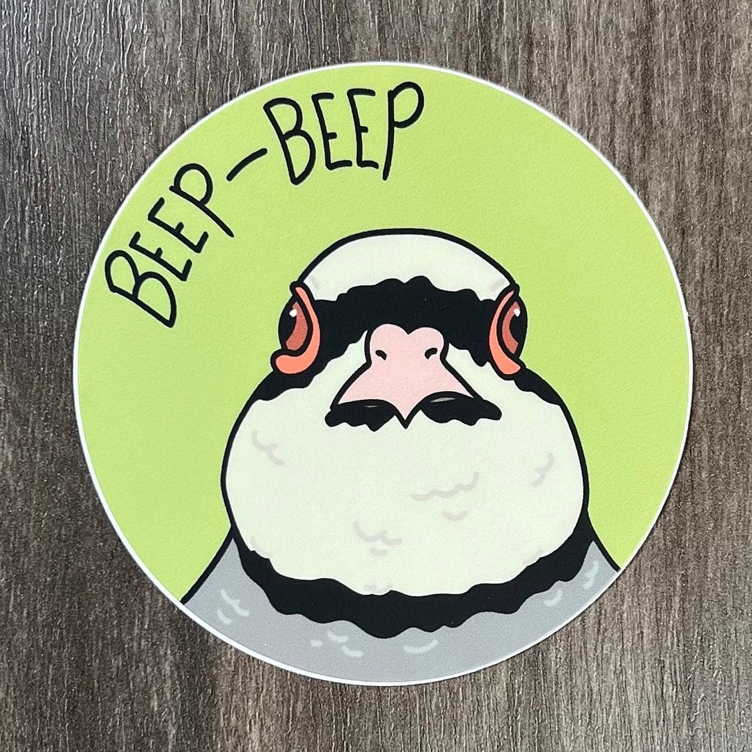 Beep-beep the Chukar Partridge Sticker - Etsy