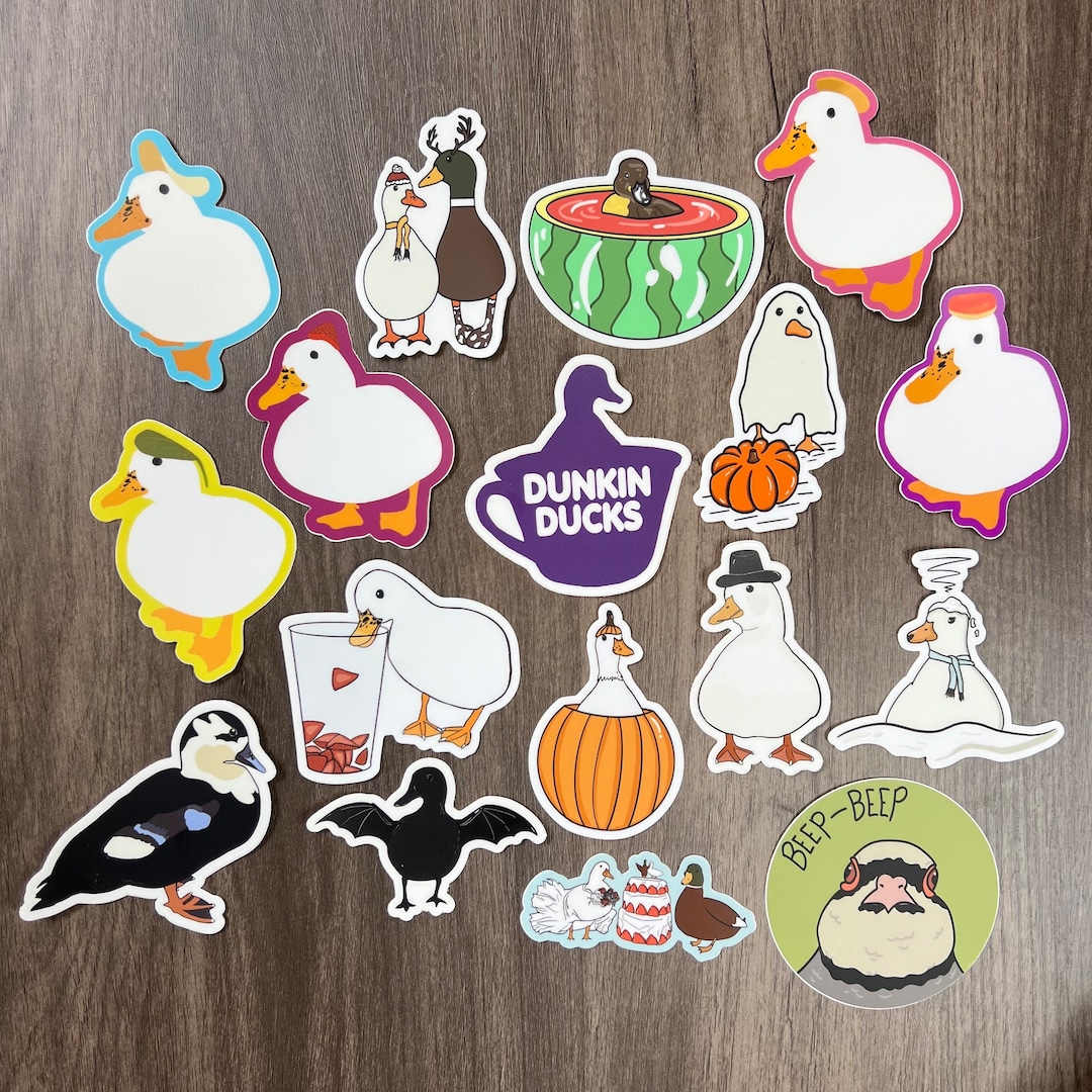 Dunkin Ducks Complete Sticker Collection - Etsy
