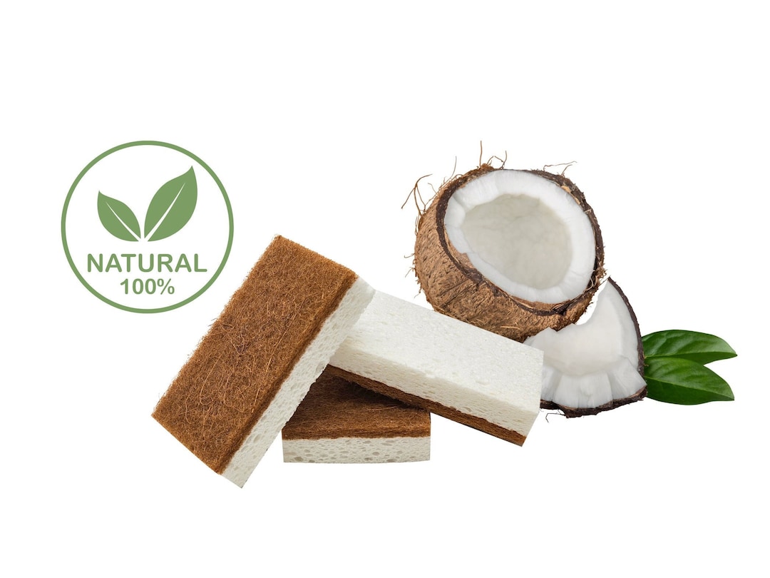 Sustainable Coconut Sponges Compostable Biodegradable Cellulose and ...
