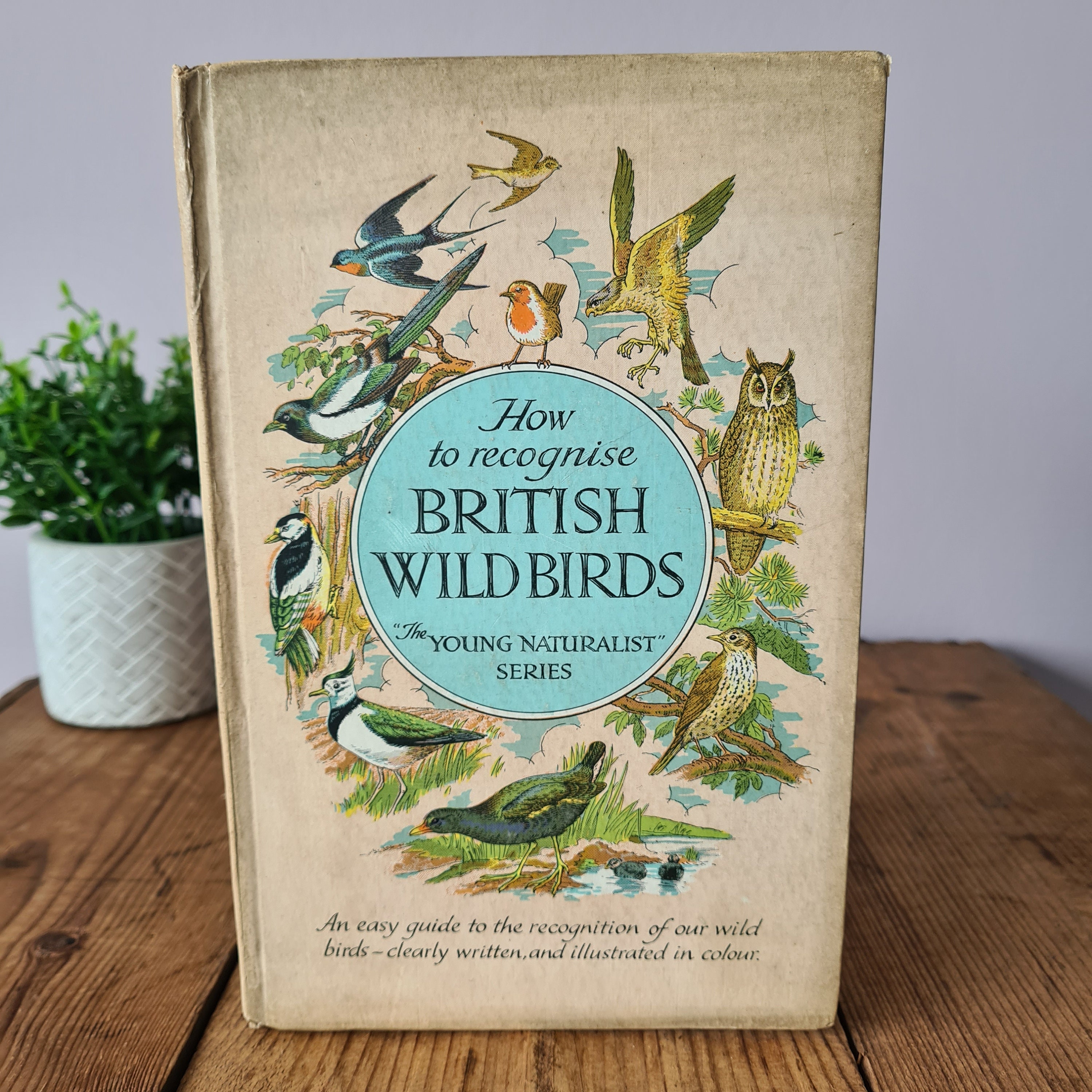 How to Recognise British Wild Birds the Young Naturalist - Etsy