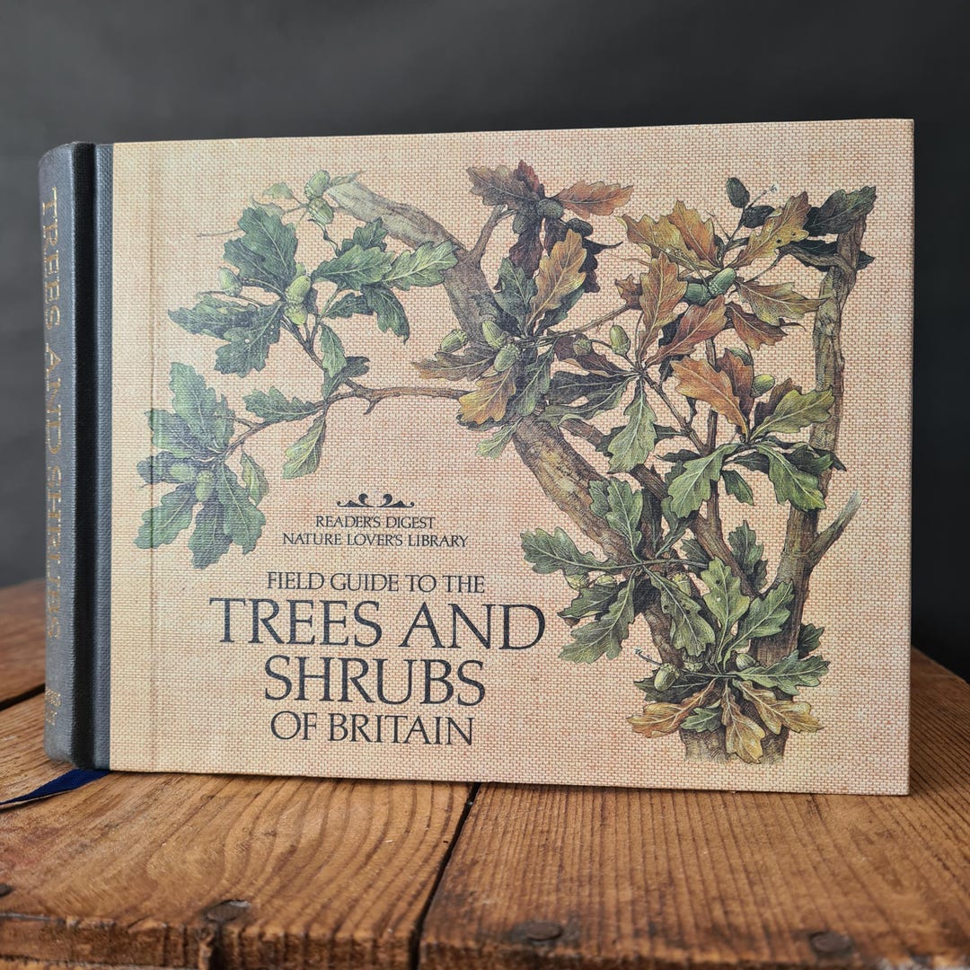 Trees and Shrubs of Britain, Vintage Illustrated Nature Field Guide ...