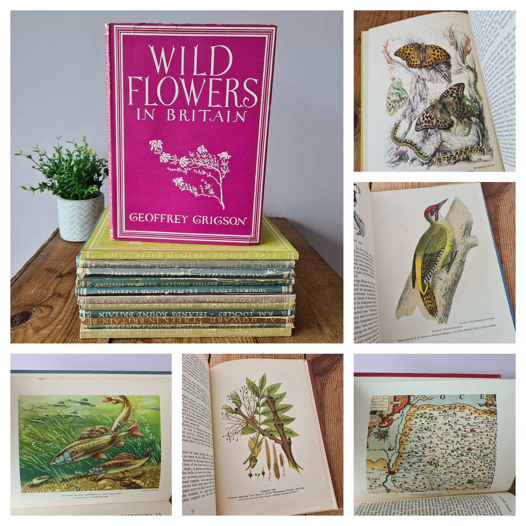 Britain in Pictures Vintage Books Choose Your Title, Trees in Britain ...