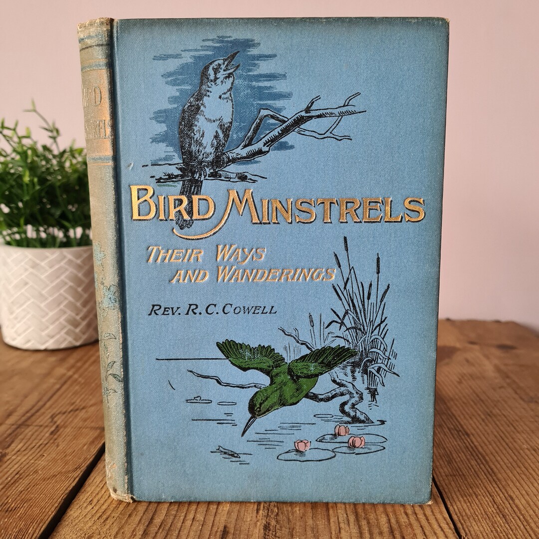 Bird Minstrels Their Ways and Wanderings by Rev. R. Corlett Cowell ...