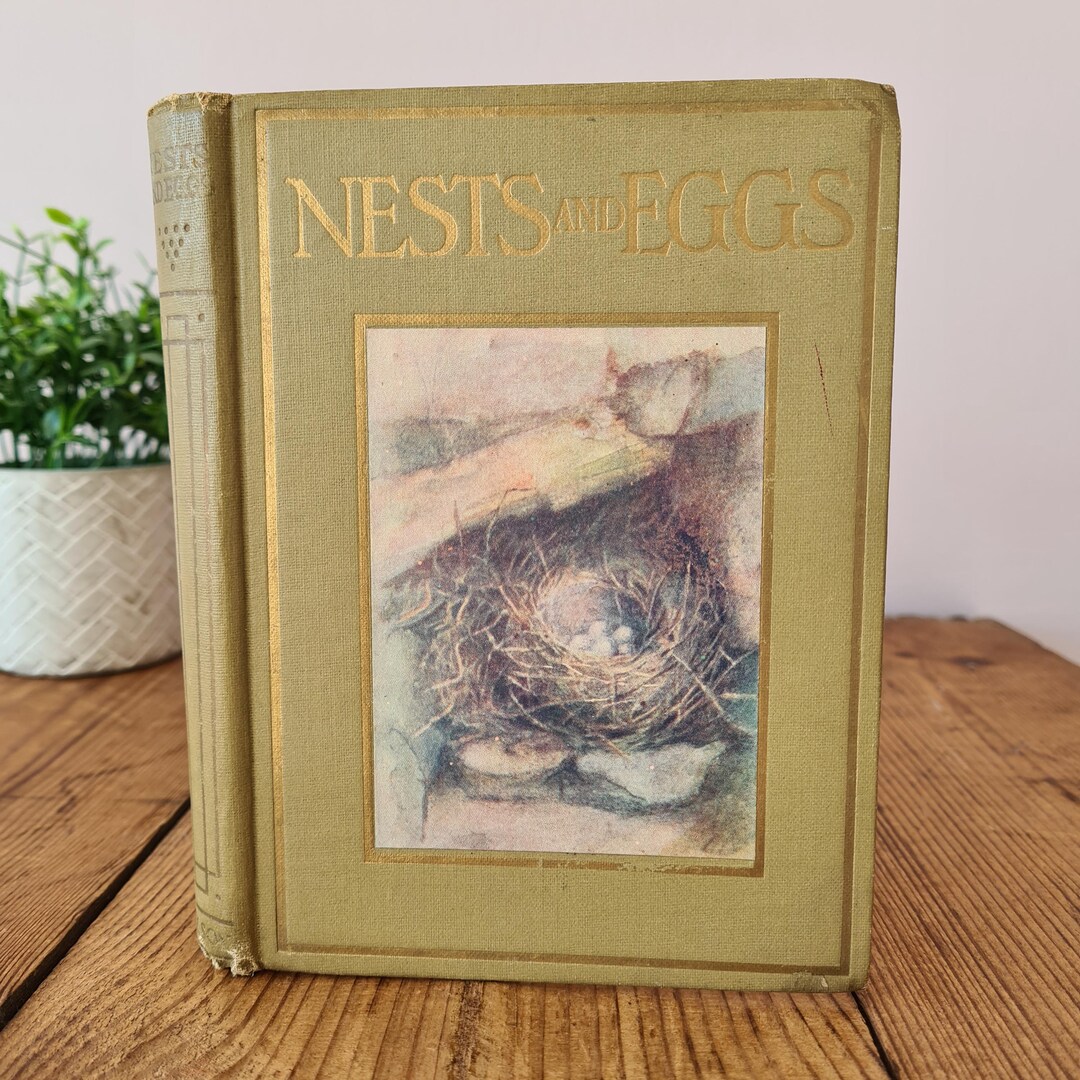 Nests and Eggs by A. H. Blaikie From the Shown to Children Series, 48 ...