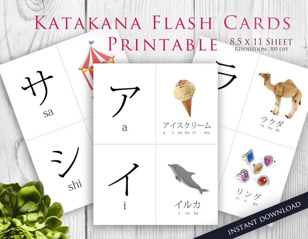 Japanese Character Katakana Flash Card, Learn Japanese for Beginner ...