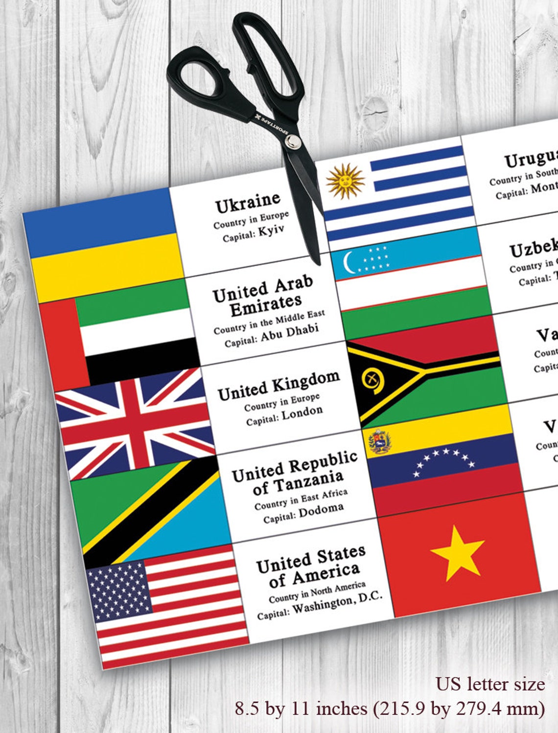 195 Countries Flash Cards, Learn for Beginner - DIGITAL DOWNLOAD - PDF ...