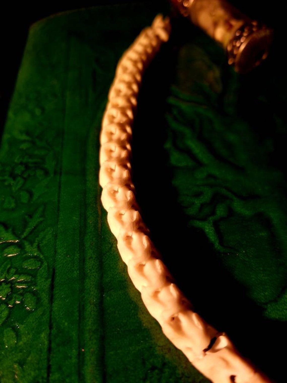 Necromancer's Pendulum Snake & Toad Bone - Etsy