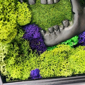 Skull Moss Wall Art Halloween Wall Decor Home Decor Flower Wall Art ...