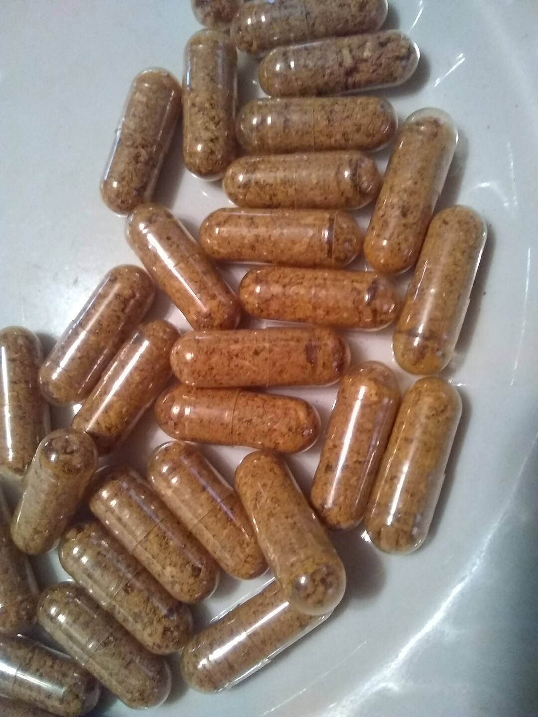 100 Capsules Turkey Tails Mushroom 100% Pure, Ground Forest Medicinals ...