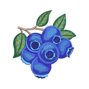 Digital, Blueberry, Machine Embroidery Design, 4 Sizes - Etsy