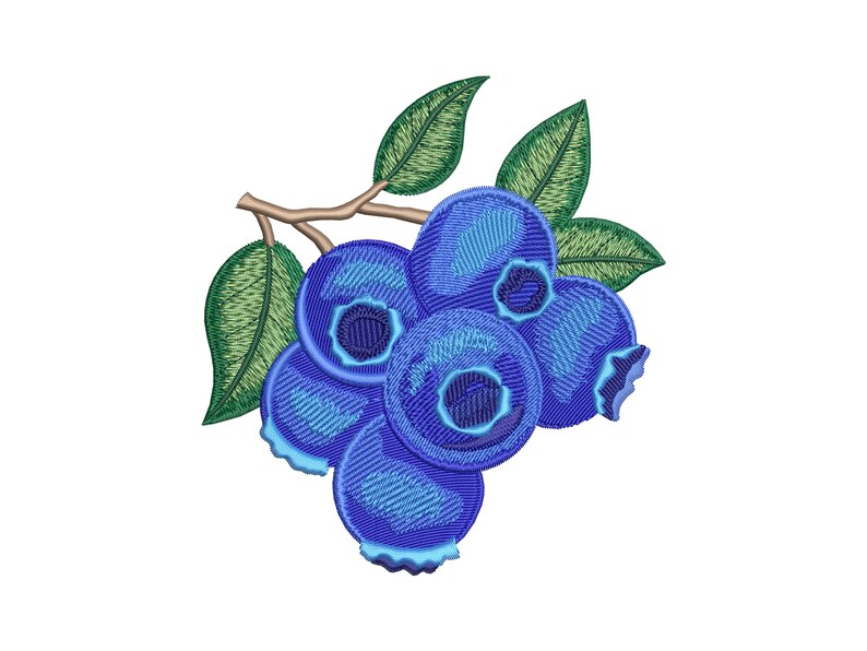 Digital, Blueberry, Machine Embroidery Design, 4 Sizes - Etsy