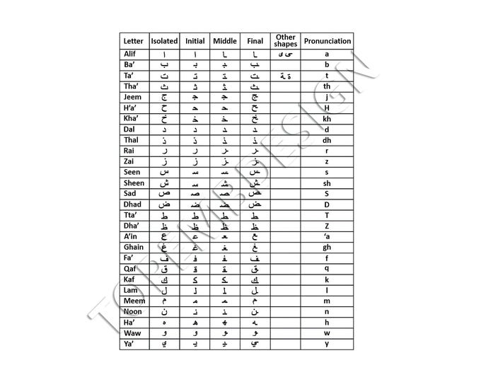 Digital, Vector Design, All Arabic Letters Table, Beginning, Middle ...