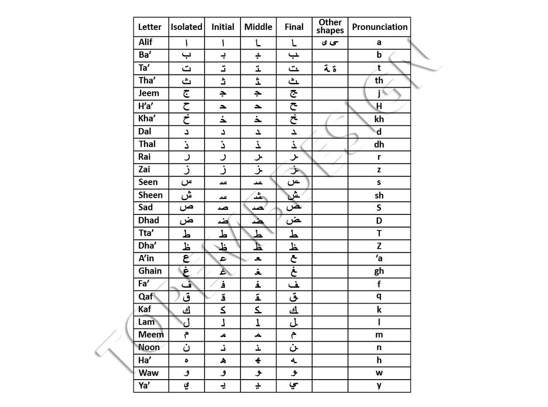 Digital, Vector Design, All Arabic Letters Table, Beginning, Middle ...