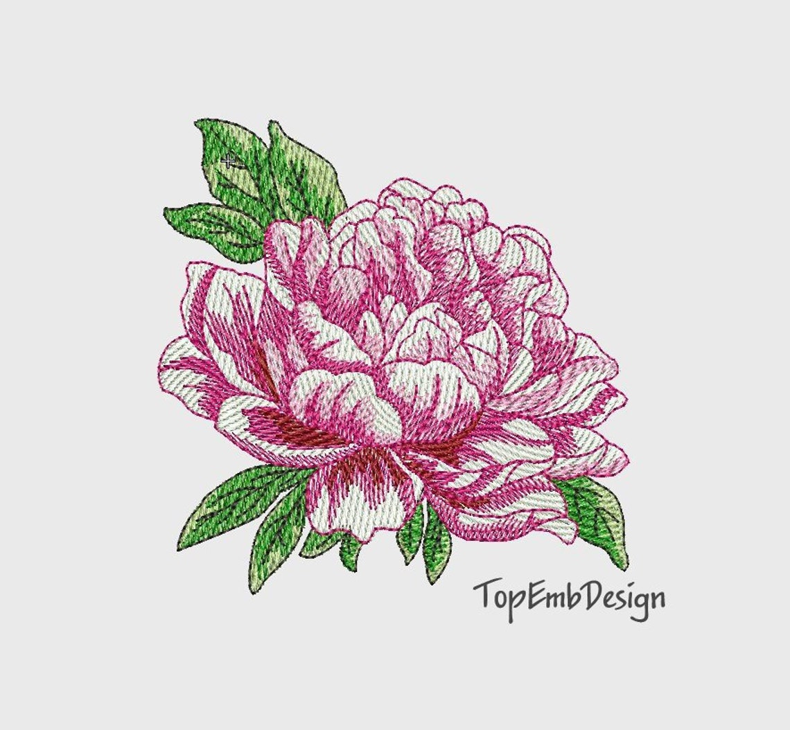 Digital Peony Machine Embroidery Design Peonies Pink 3 | Etsy Australia