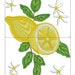 Lemon Tree, Machine Embroidery Design, 4 Sizes - Etsy