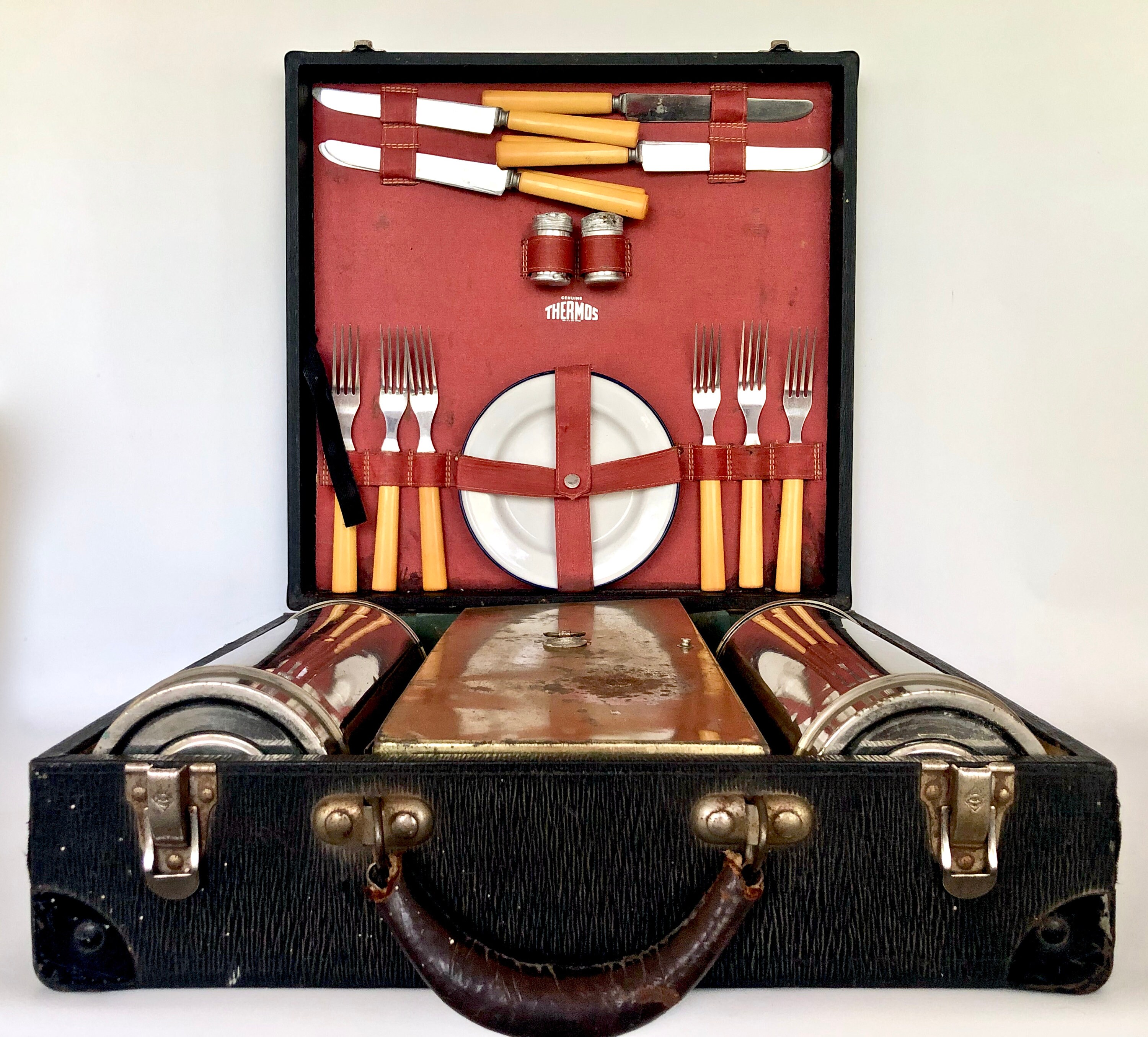 Mid Century Picnic Set / Hard Sided Carrying Case / Vacuum Bottles ...