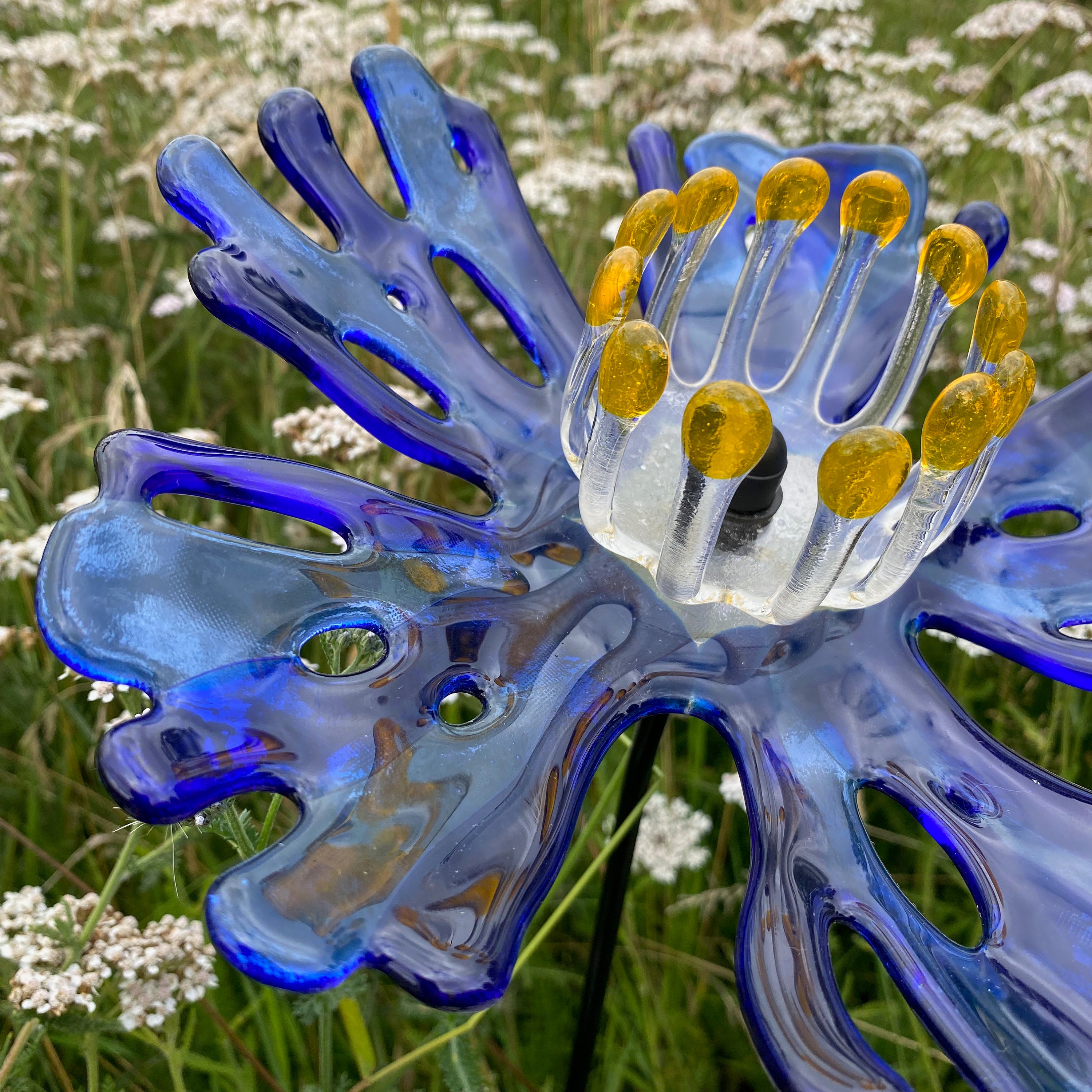 Organic Fused Glass Flower Sculpture: Blue Transparent Variation - Etsy UK
