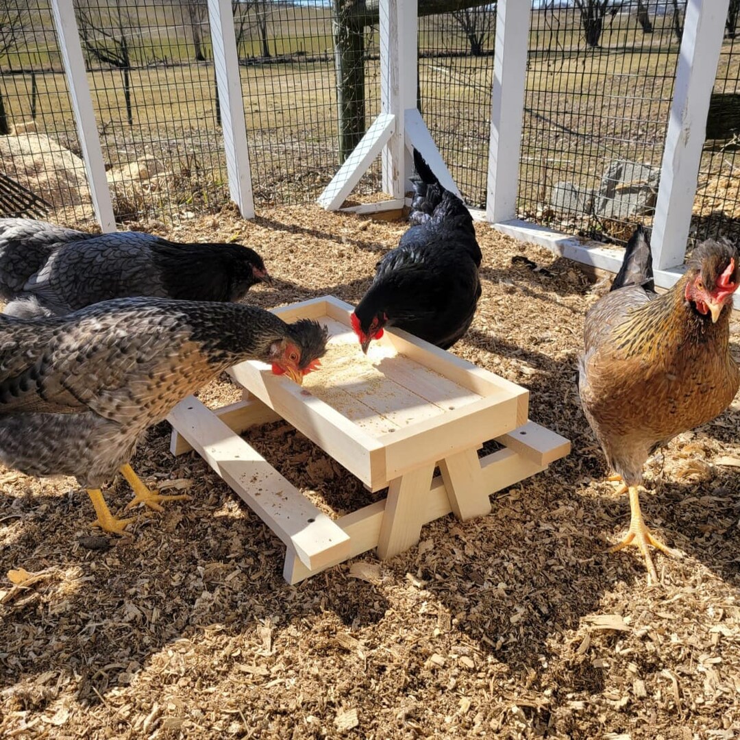 Chicknic Table Chicken Picnic Table Chicken Feeder - Etsy UK