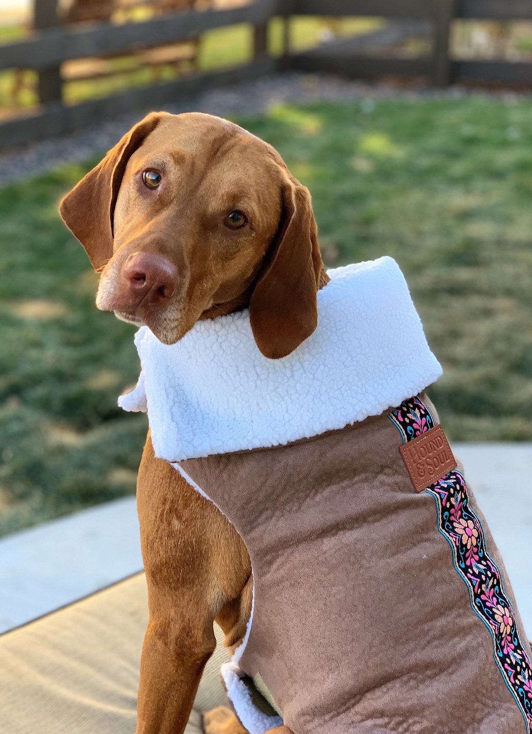 Sundance Shearling Dog Jacket - Etsy