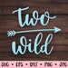 Two Wild SVG Cut File Second Birthday Cutting File Baby Boy Girl 2nd ...