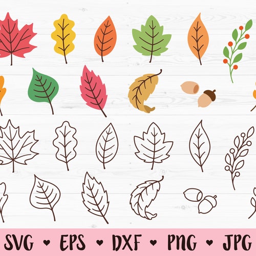Fall Leaves SVG Bundle Autumn Leaf Cut File October November - Etsy