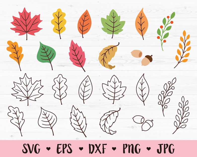 Fall Leaves SVG Bundle Autumn Leaf Cut File October November ...