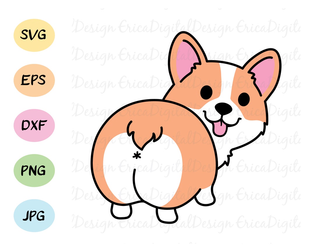 Funny Corgi