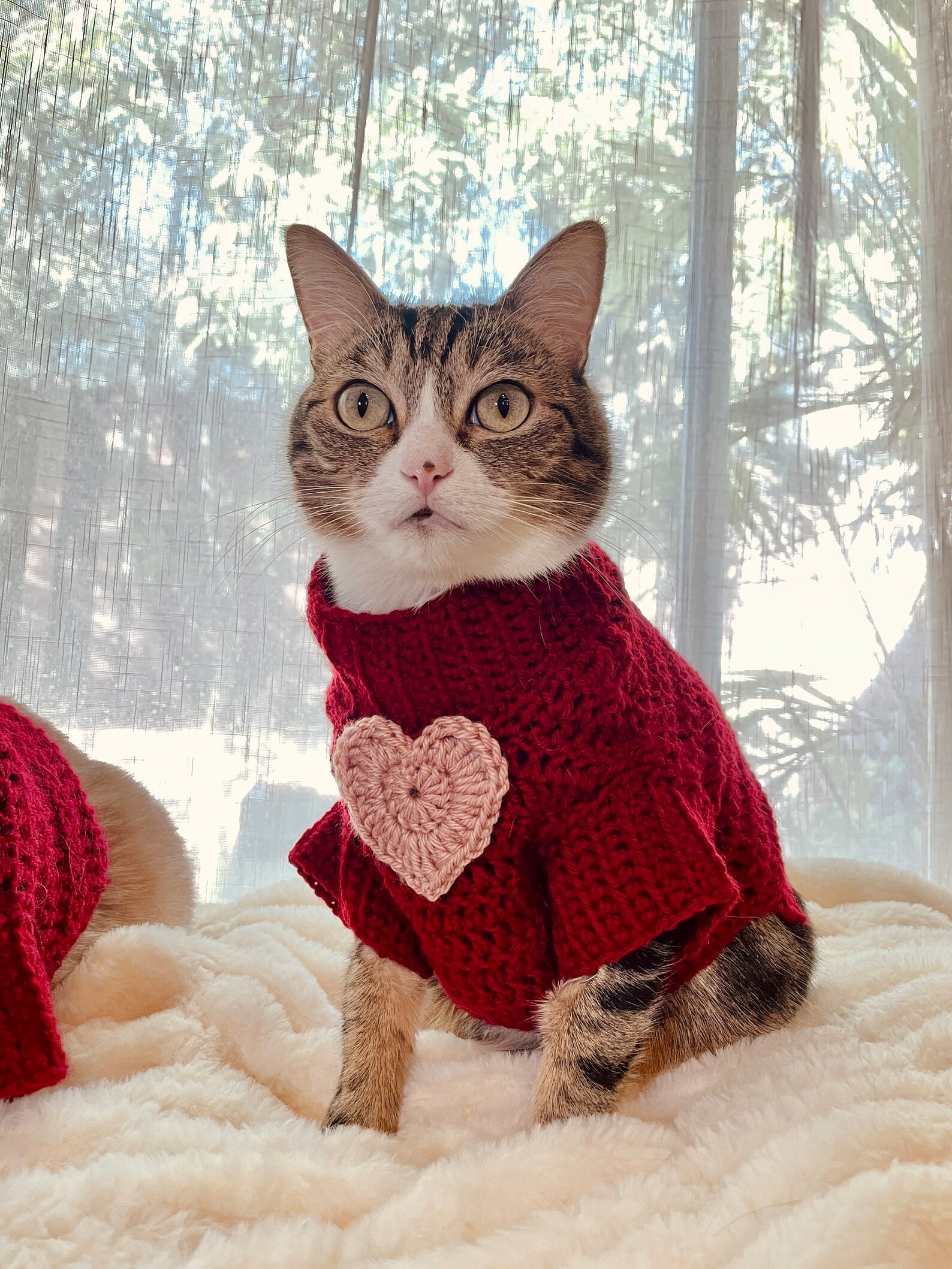 Handmade Crocheted Valentine's Love Heart Sweater-cat/dog Sweater ...