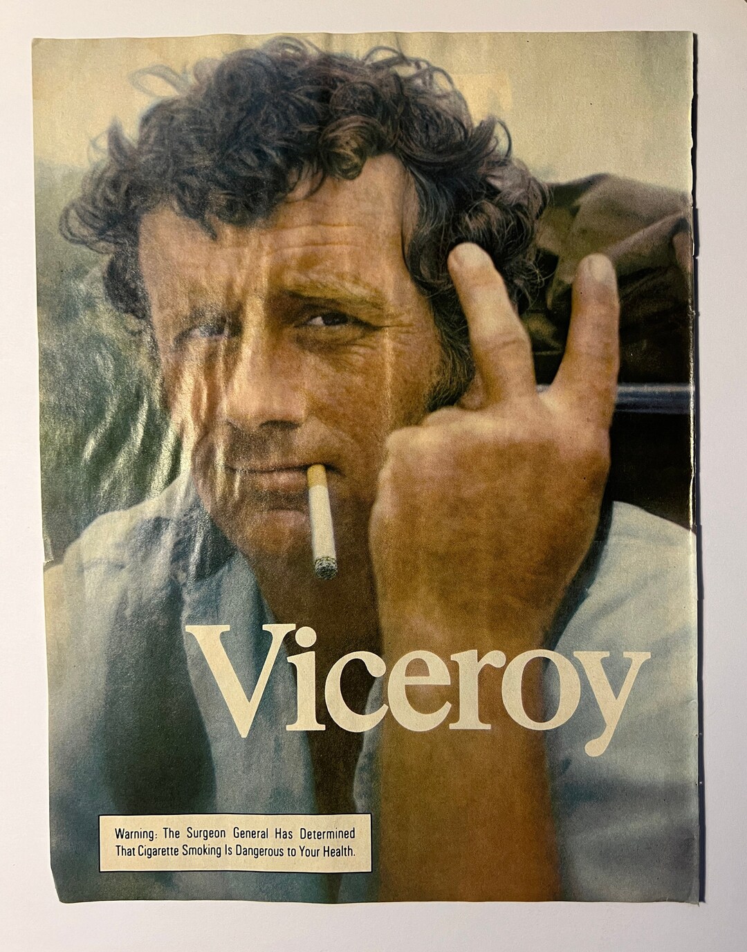 Vintage Viceroy Cigarettes Advertisement - Etsy