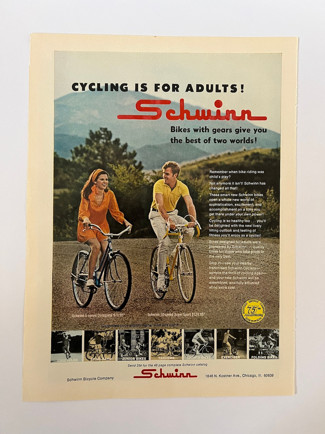 Vintage Schwinn Bicycle Advertisement - Etsy