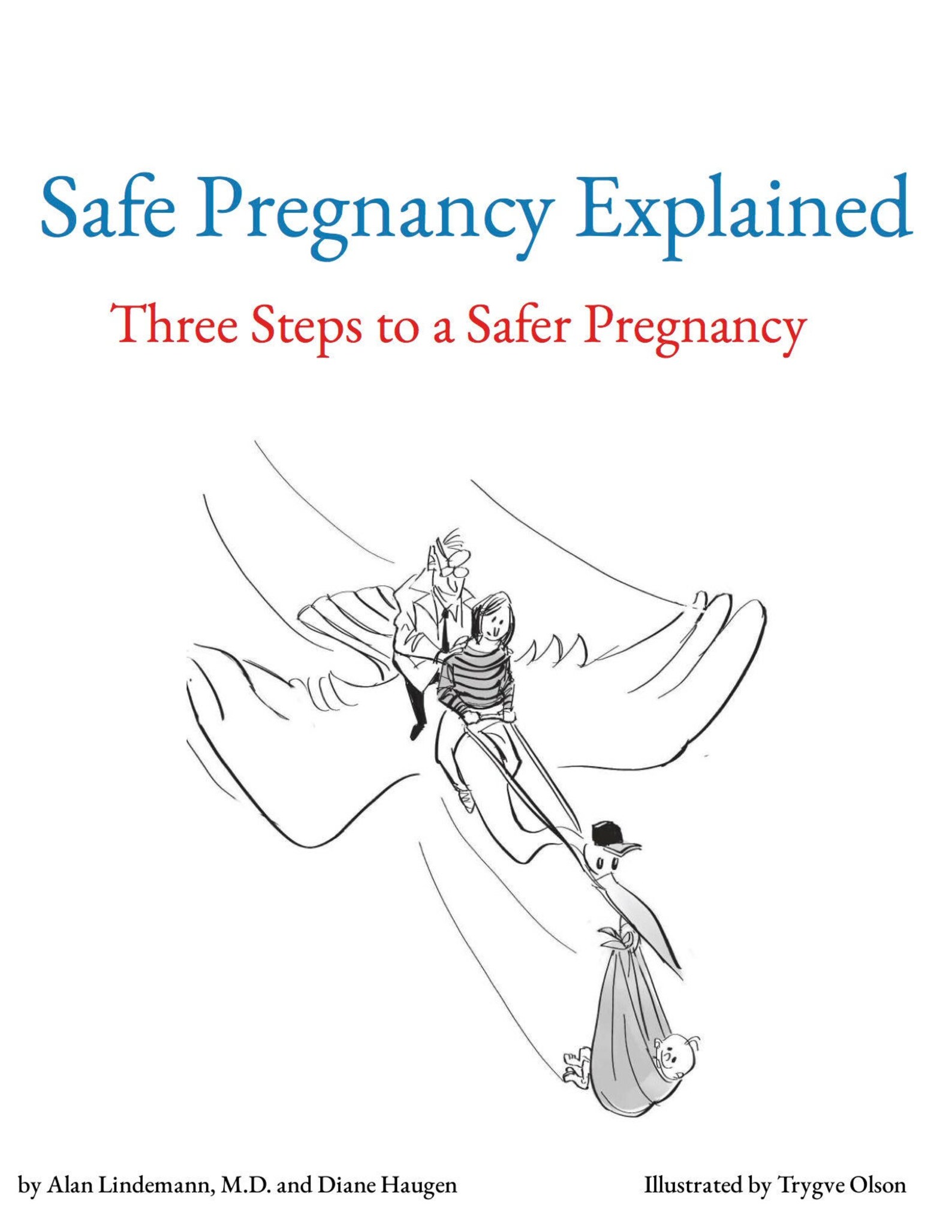 Safe Pregnancy Explained: Three Steps to a Safer Pregnancy - Etsy
