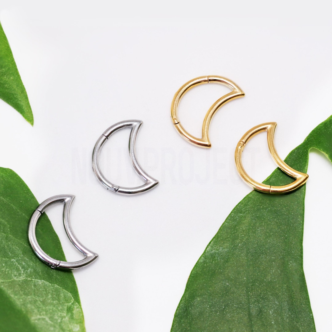 1pc 16G 18G Crescent Moon Ring Daith Earring Hinged Segment Hoop Ring ...