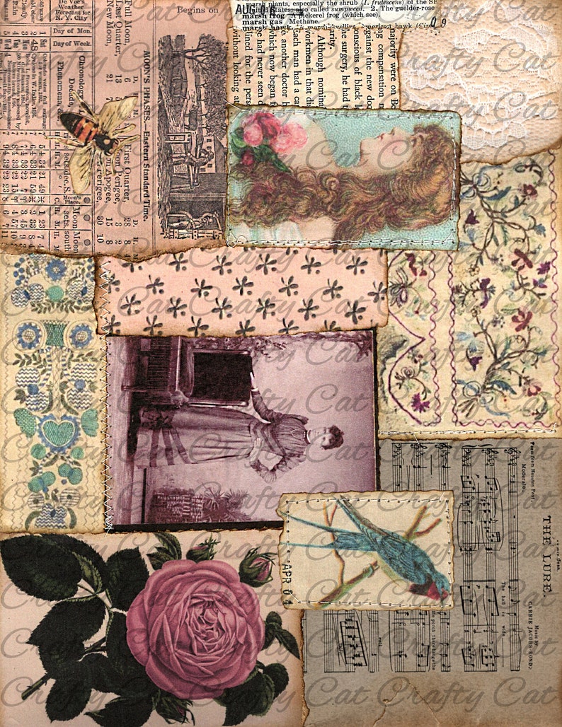 Cabinet Cards a 20 Page Digital Download (only 10 Pages Shown) - Etsy
