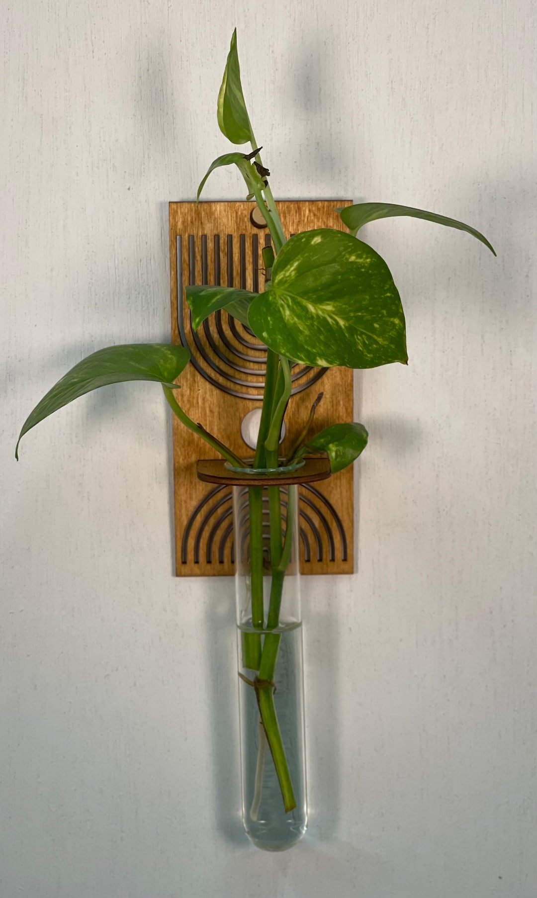 Propagation Station, Boho Vase, Wall Hanging, Minimalist, Glass Vase ...