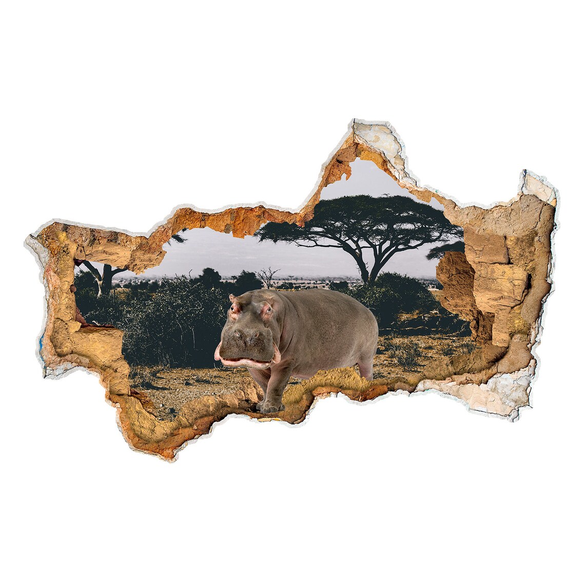 Hippo Wall Decal 3D Safari Animals for Nursery Hole in Wall - Etsy