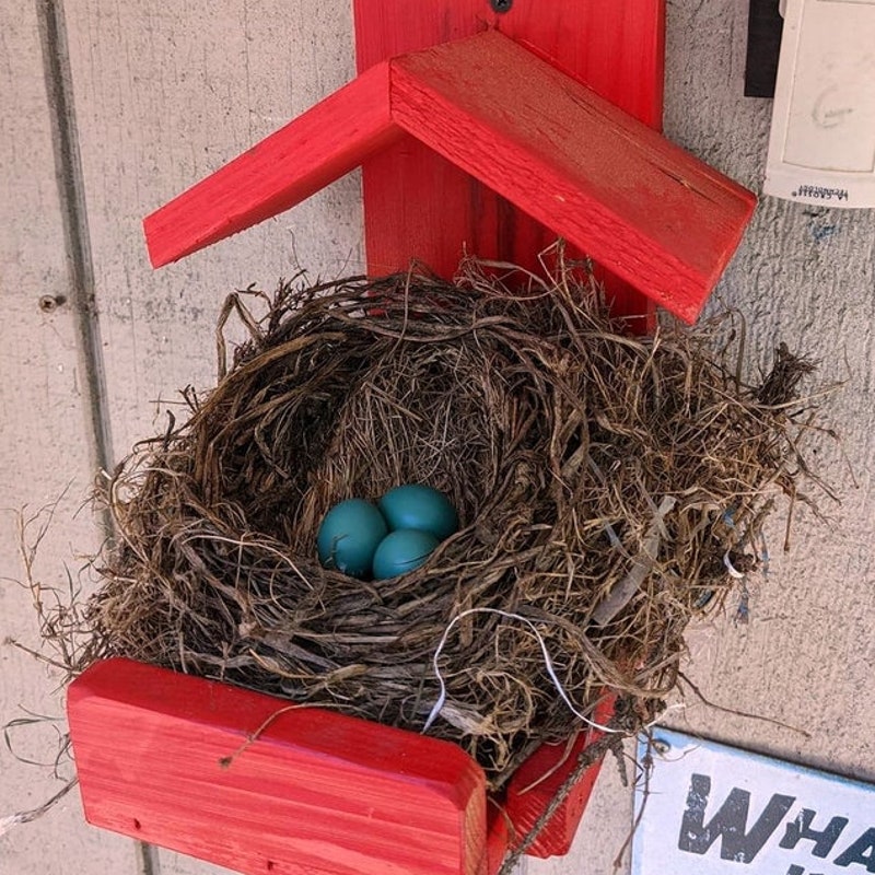 Bird Nesting Box - Etsy