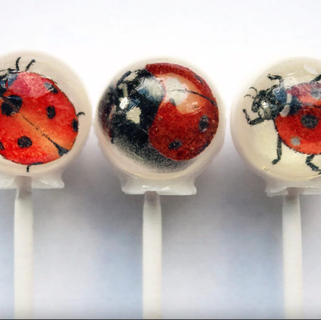 Lucky Ladybug Lollipops 6-piece Set by I Want Candy! - Etsy