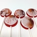 3D Sea Shell Lollipops 6-piece Set by I Want Candy - Etsy