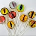 3D Sea Shell Lollipops 6-piece Set by I Want Candy - Etsy
