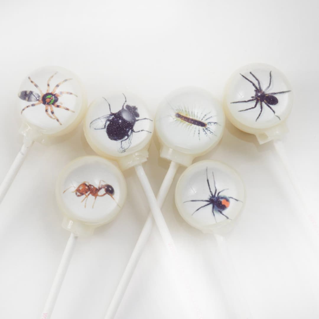 Bug Lollipops 6-piece Set by I Want Candy! - Etsy