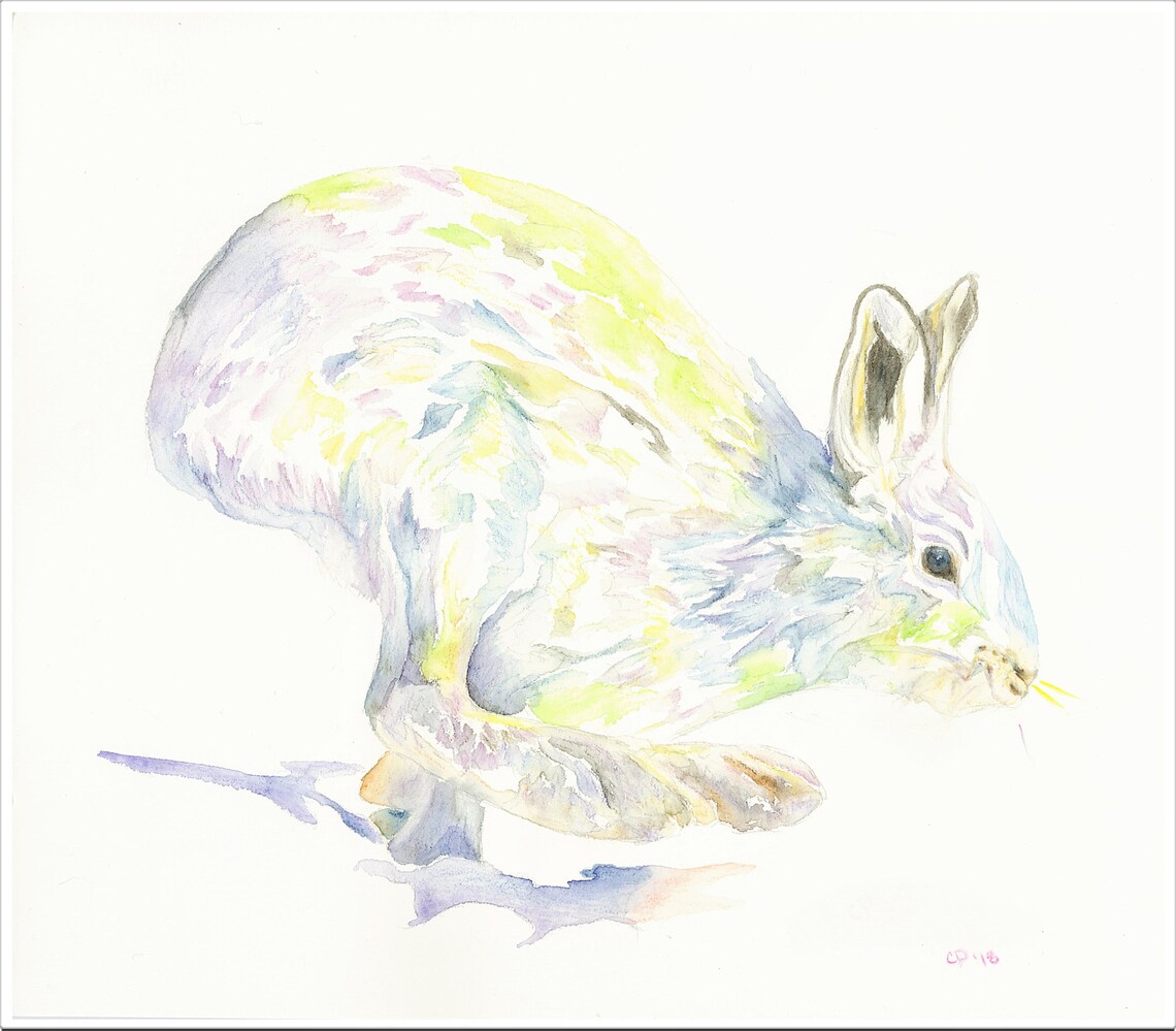 Winter Snowshoe Hare Watercolor Print - Etsy