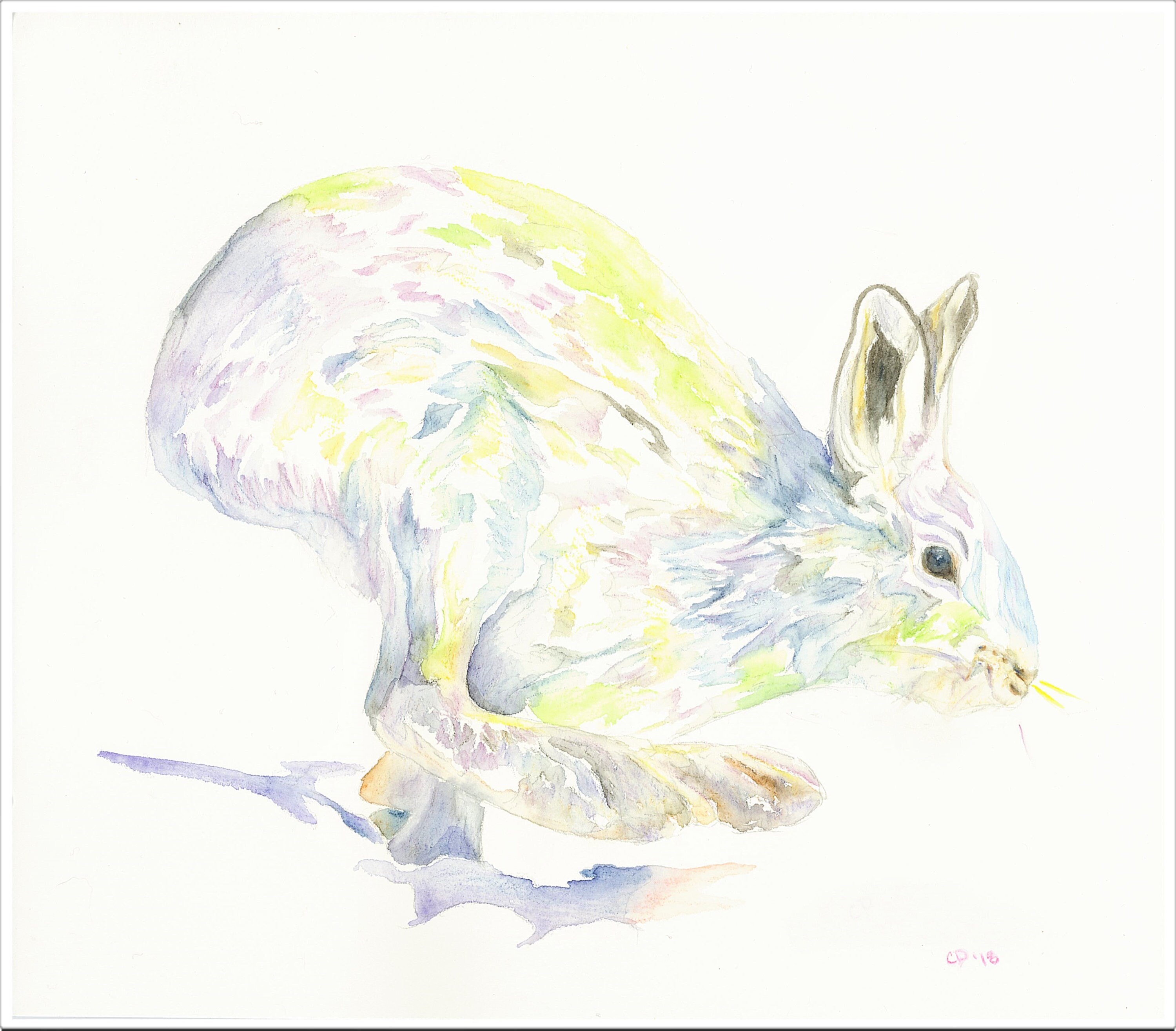 Winter Snowshoe Hare Watercolor Print - Etsy