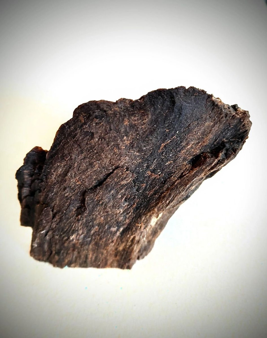 Stand Alone Carbonized Petrified Wood Specimen 85x65x30mm 258g - Etsy