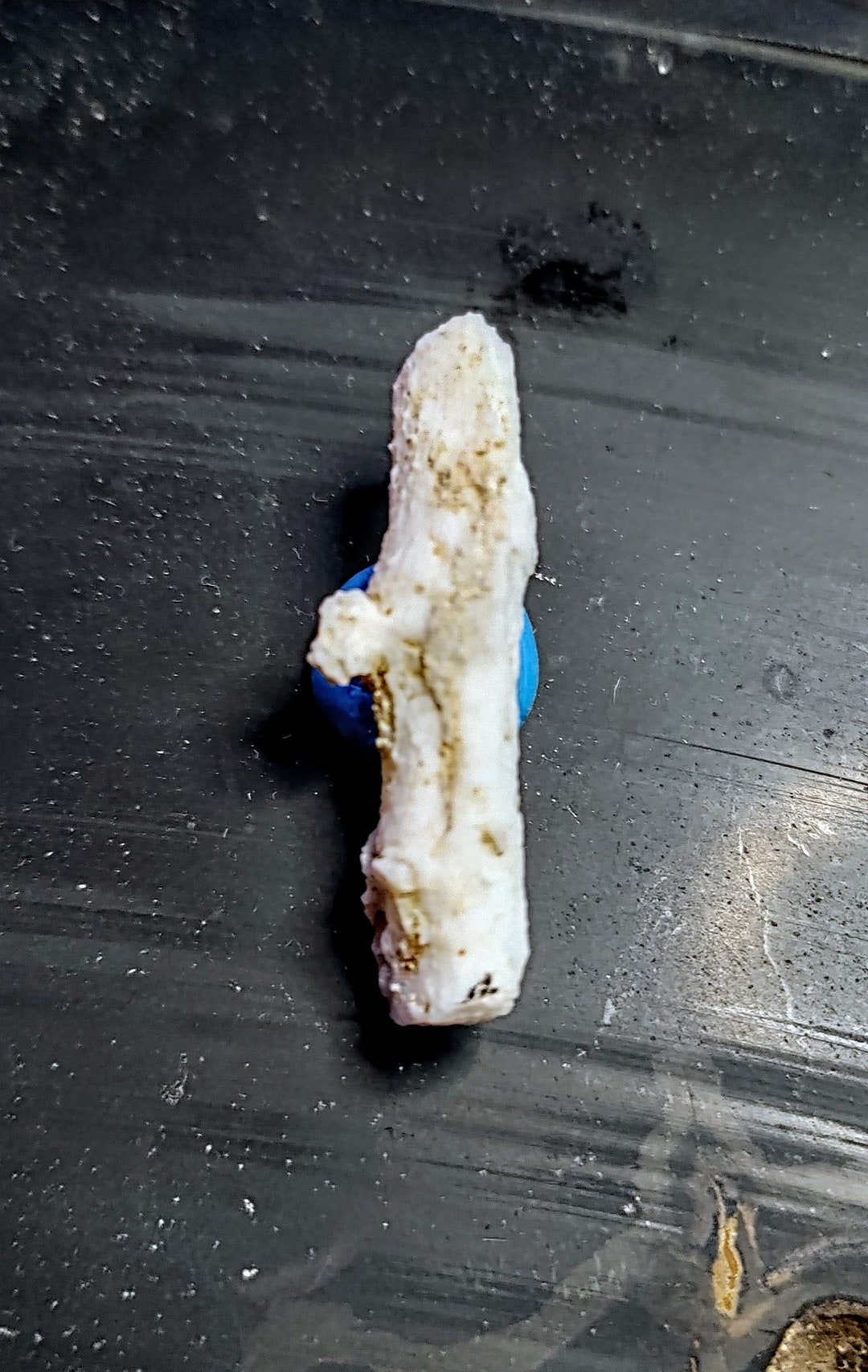 Natural Opalized Virgin Valley Limb Cast 34x7mm - Etsy