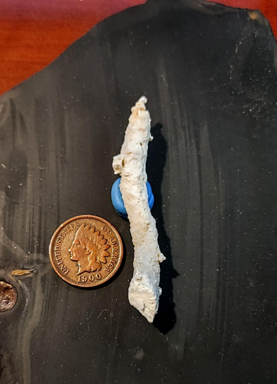 Natural Opalized Virgin Valley Limb Cast 56x7mm - Etsy