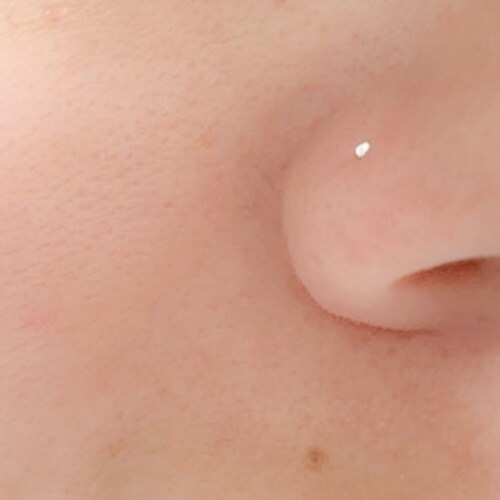 Real Natural White Scallop Seashell Shell Mermaid Ocean Beach | Etsy