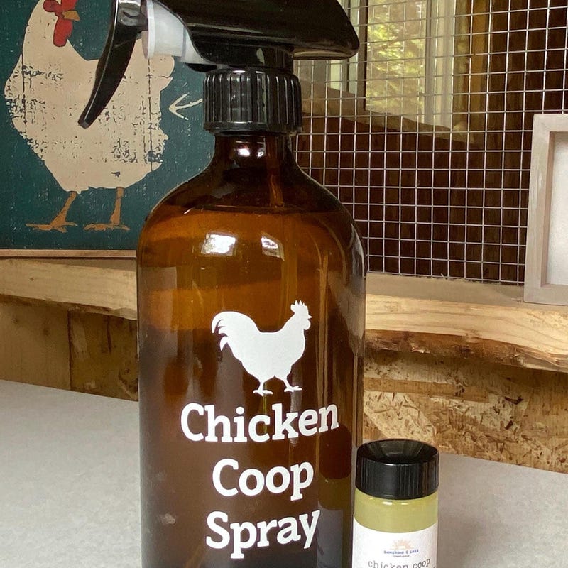 Chicken Coop Design - Etsy