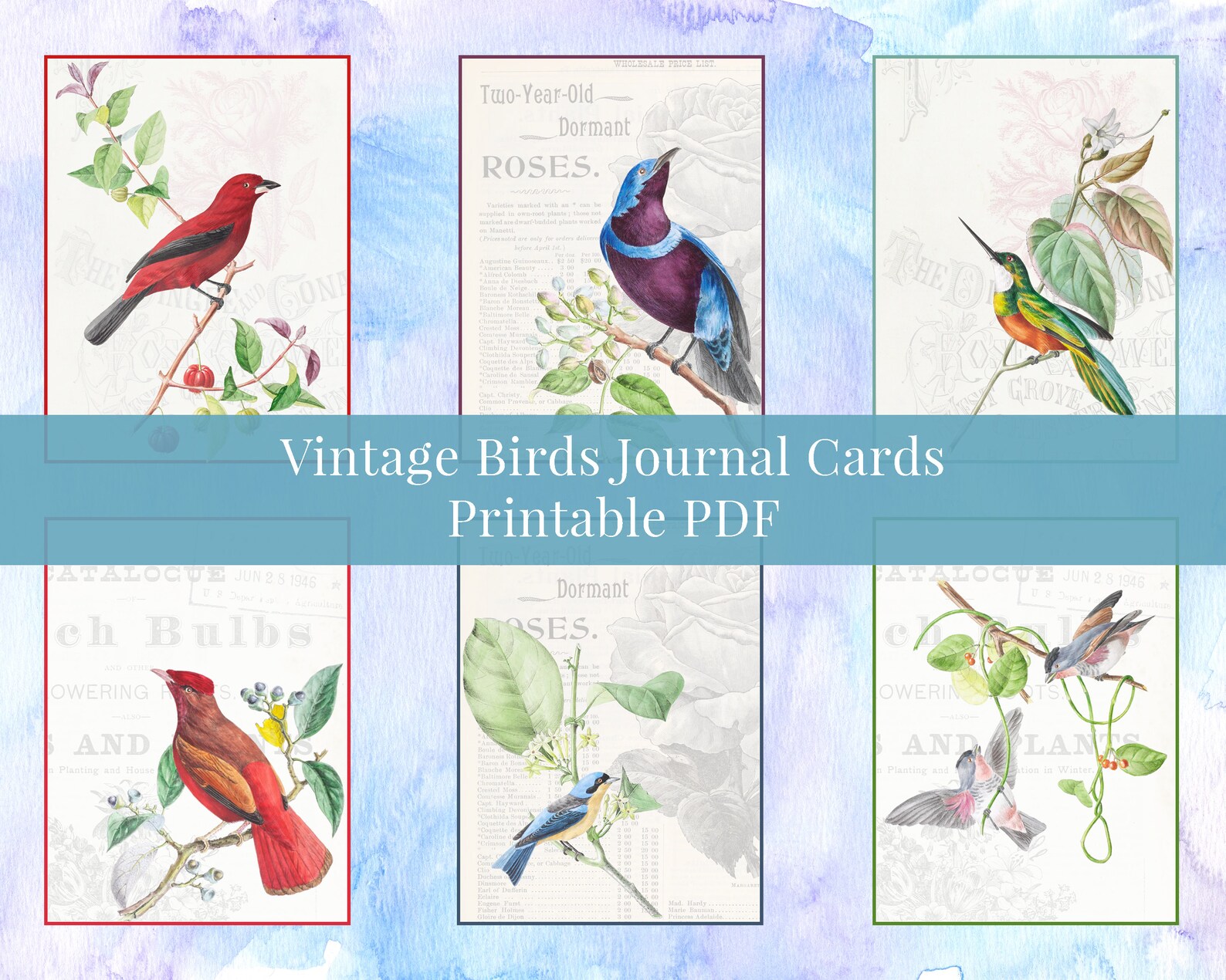 Vintage Birds Junk Journal Cards Digital Printable, Birds Collage ...